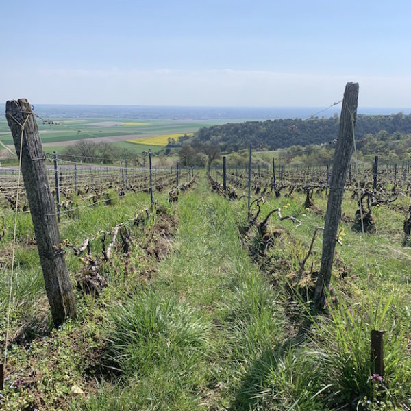 champagne-lassaigne-colline-inspiree – CHAMPAGNE PARIS